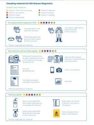 Blood sampling | WorldFish