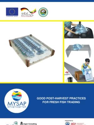 Fish trade | WorldFish