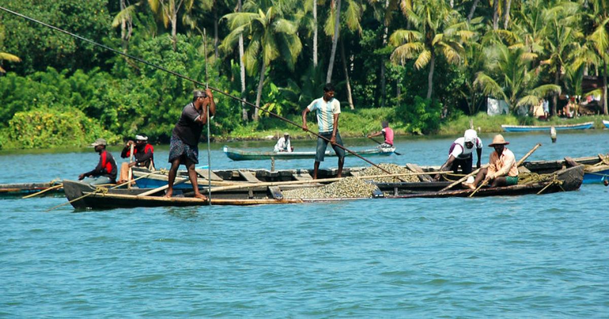 How small fishers in Kerala's Poonthura benefited from COVID-19 time ...