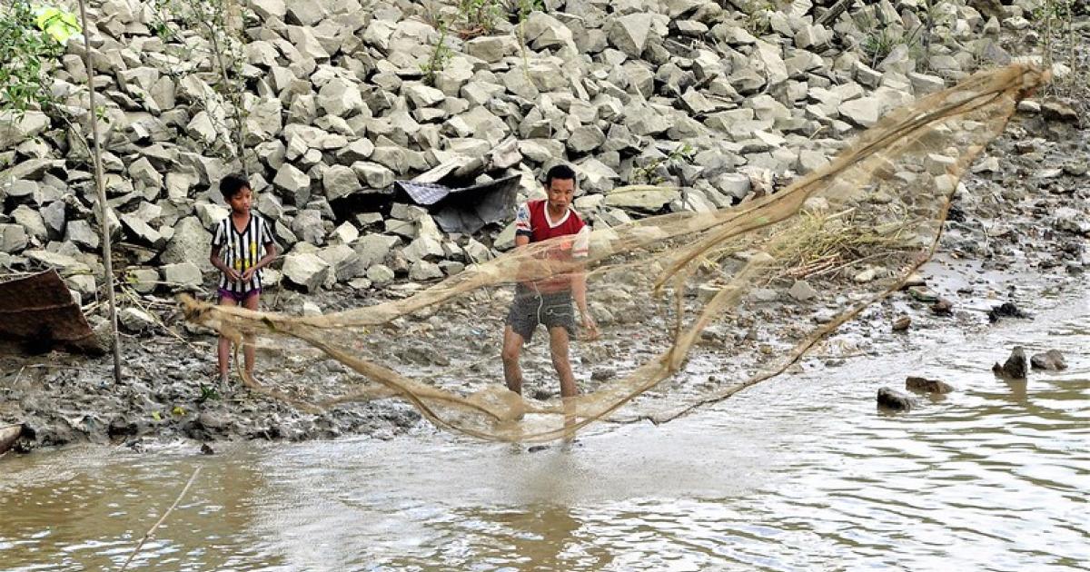 Improving fish supply chains for food and livelihood security in ...