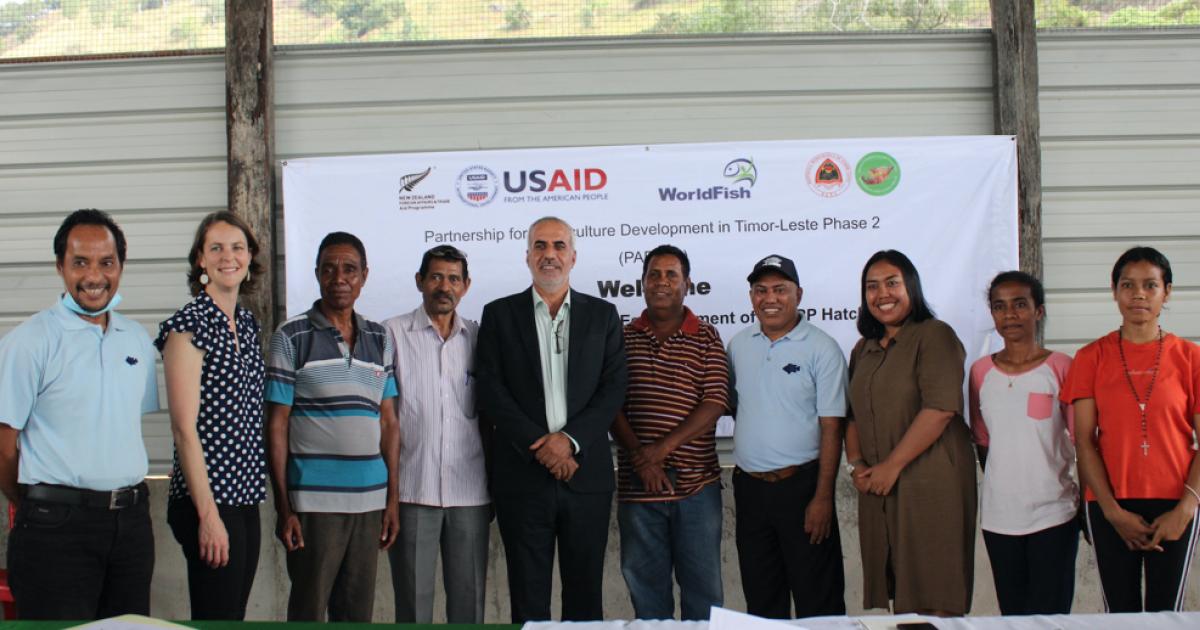 Public-private-partnership tilapia hatcheries grow from two to four, increasing access to ...