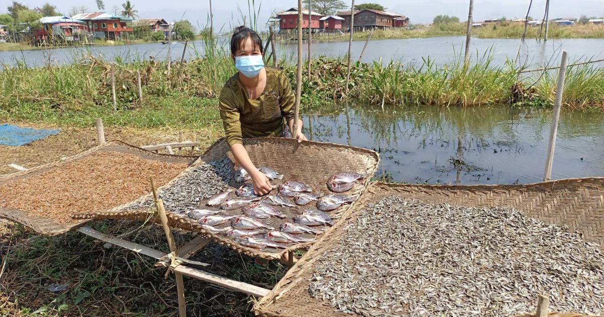 Inspiring Stories: Daw Lae Lae Soe | WorldFish