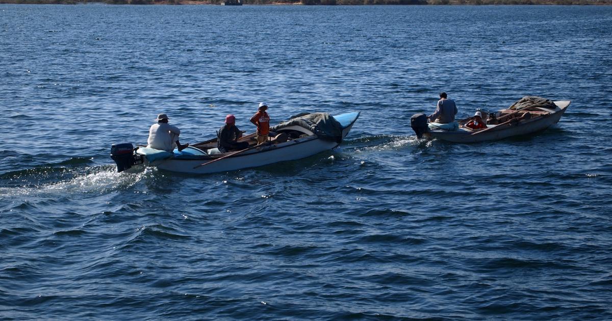 WorldFish at the 27th session of the Conference of the Parties (COP 27 ...