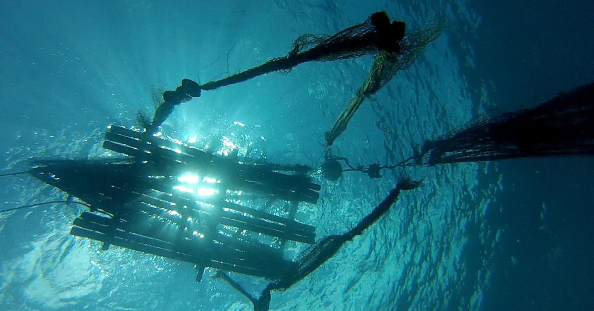 Contact Us | WorldFish