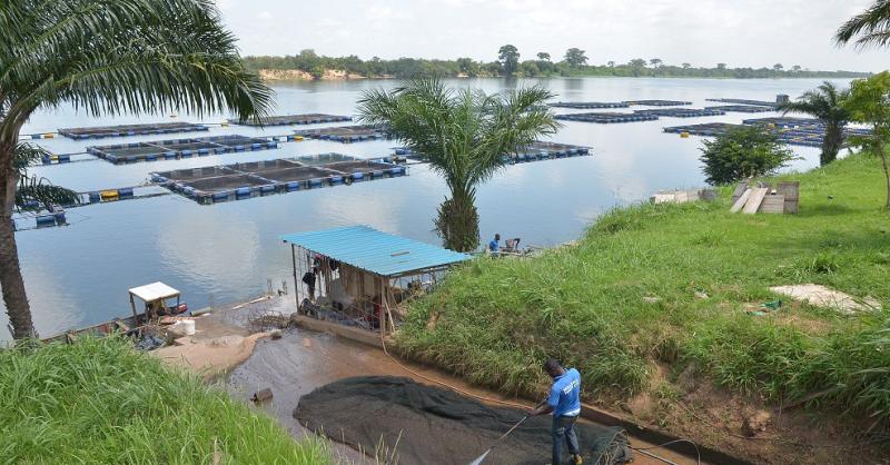 Climate-smart Aquaculture: Empowering and enhancing employme